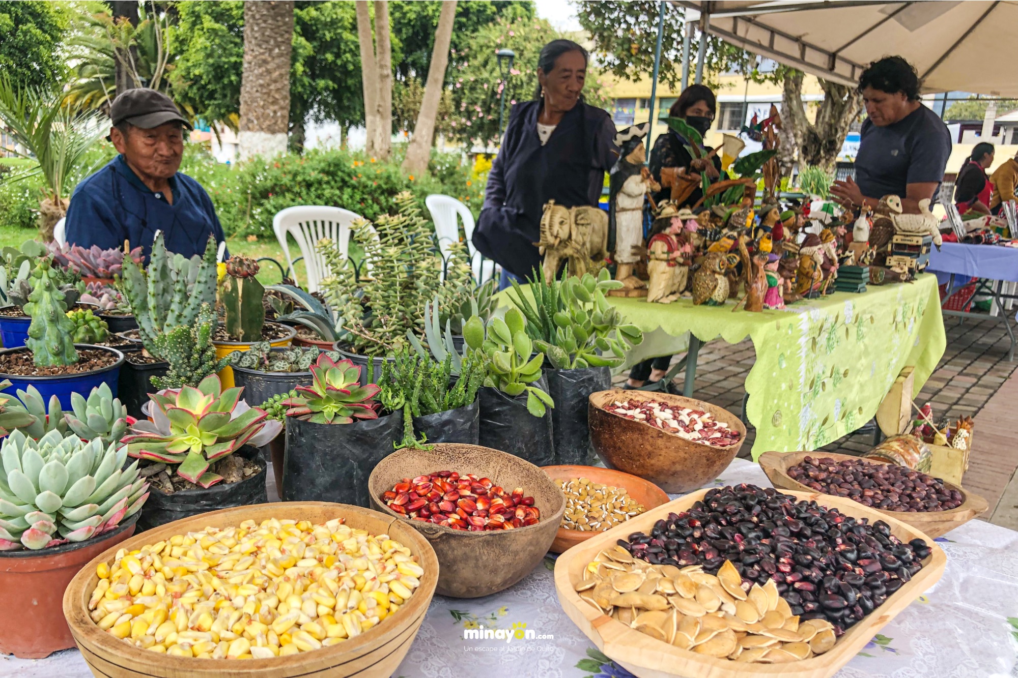 Feria de Productos Orgánicos y Ecológicos de productores de Nayón