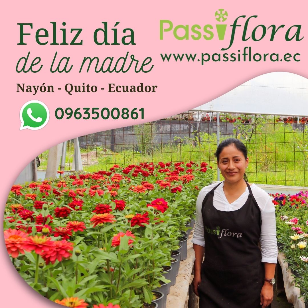 Minayon.com Nayón Un Escape por El Jardín de Quito, Ecuador, Plantas ...